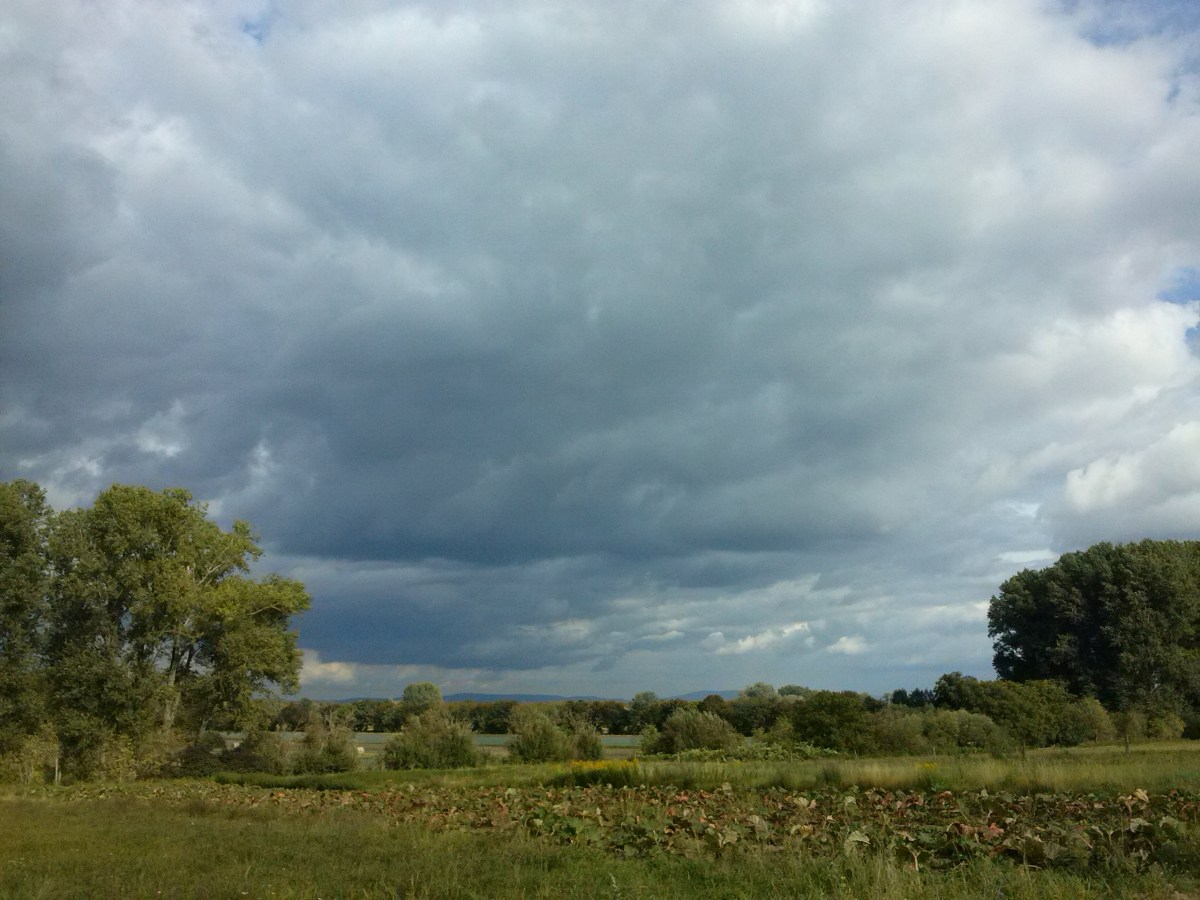 Bilder zu „Weldbrüggen“ – Verlag Peter Flamm